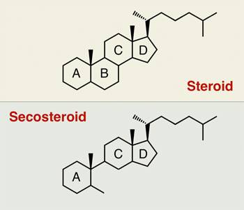Forms and structure of vitamin D (MPKB)